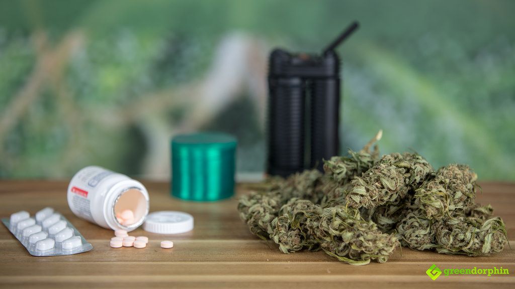 Medical-Cannabis-and-traditional-medication | Greendorphin.com
