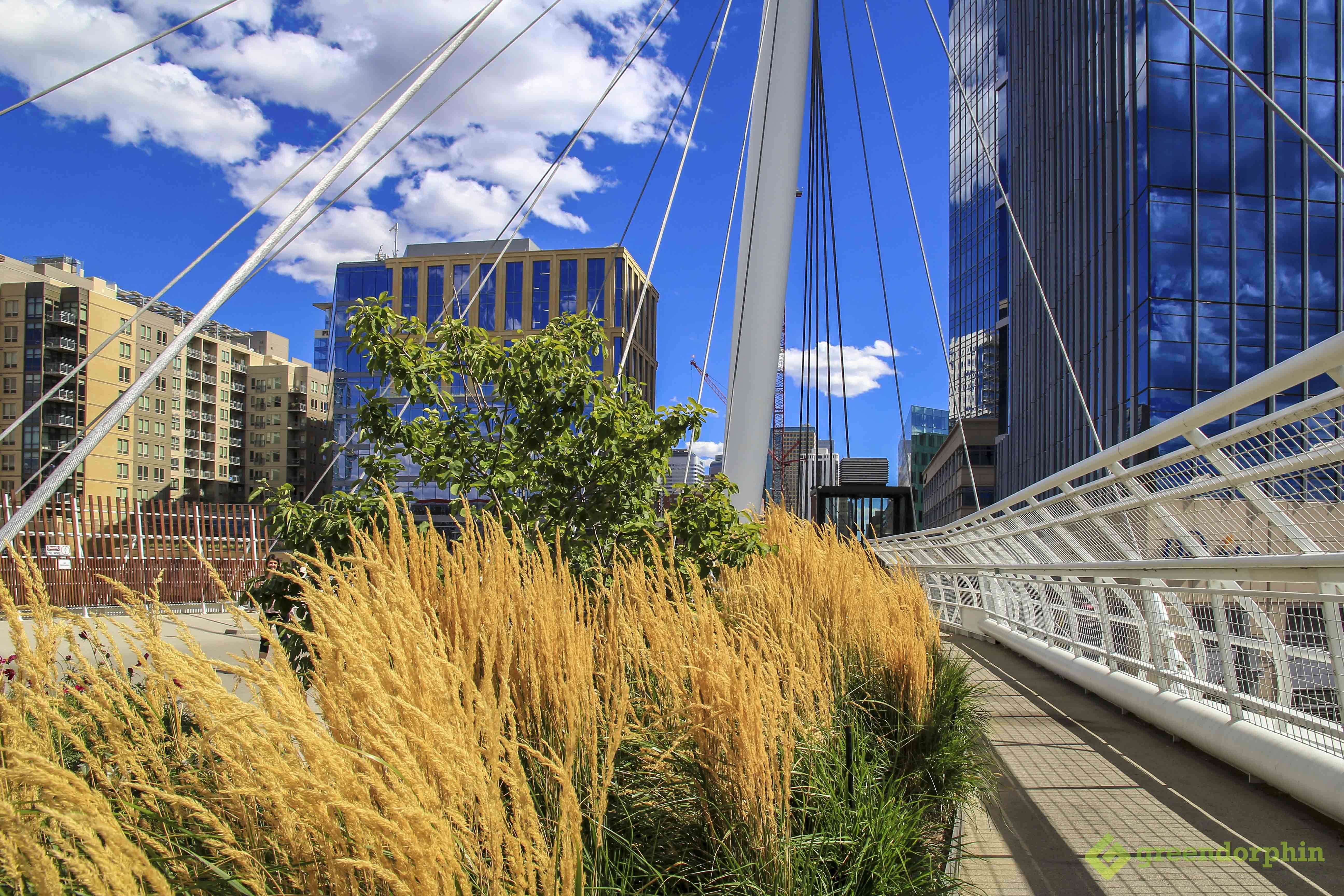 Millennium Bridge, Denver, Colorado, US | Greendorphin.com